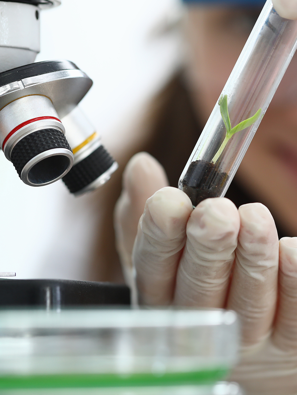 British American Tobacco Mexico - Marcas y productos