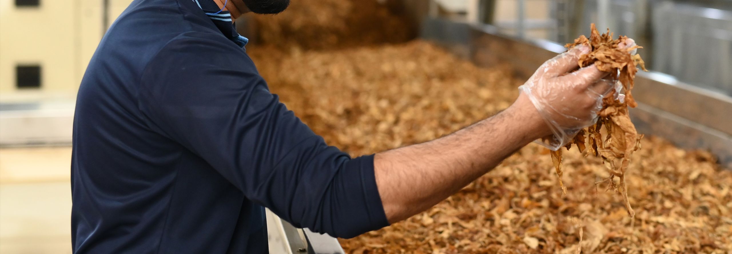 British American Tobacco Mexico - Ingredientes del cigarro